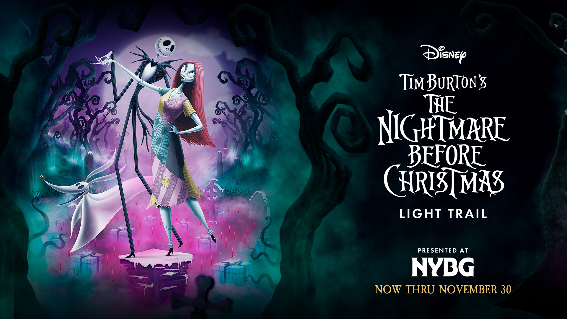 The Nightmare Before Christmas Light Trail - Elizabeth Appraisals